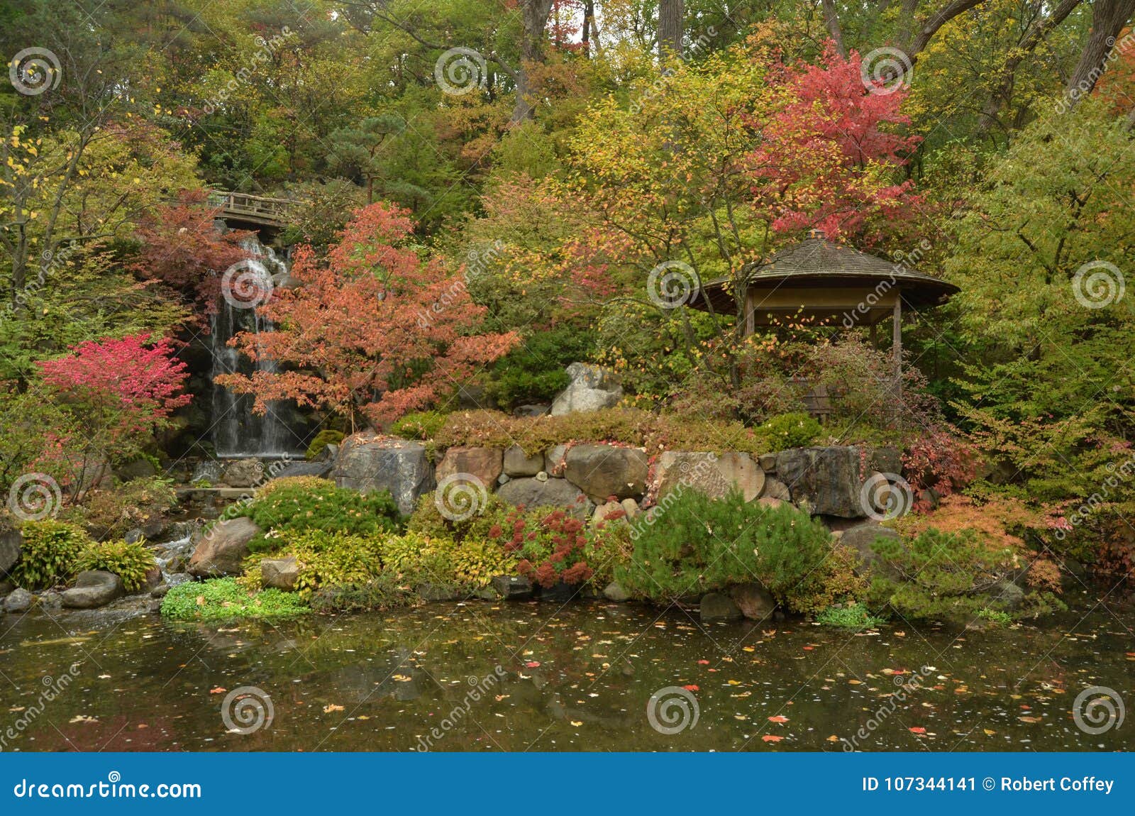 A Fall Scene in a Japanese Garden Stock Image - Image of garden, trees ...