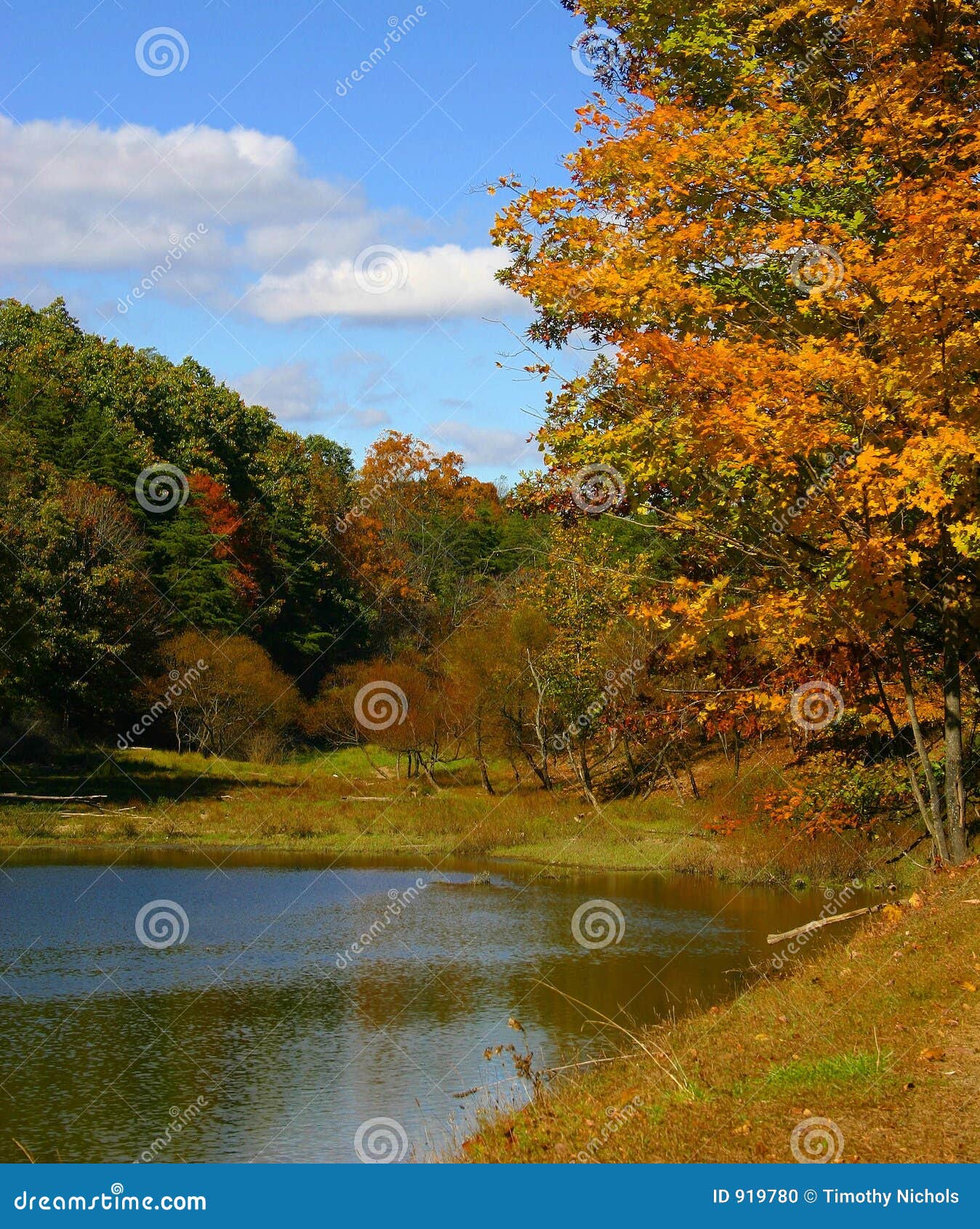 Fall Scene of Lake and Trees Stock Photo - Image of reflection, fall ...
