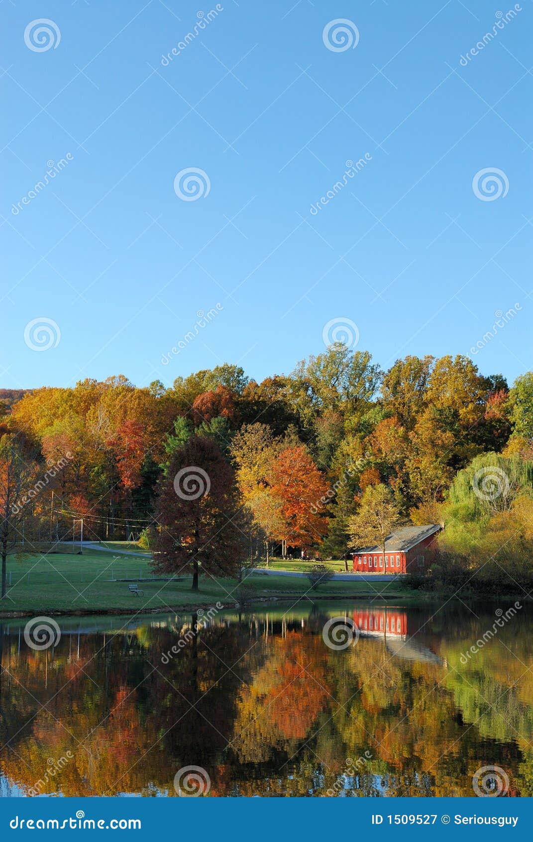 Fall scene at the Park stock image. Image of outdoor, trees - 1509527