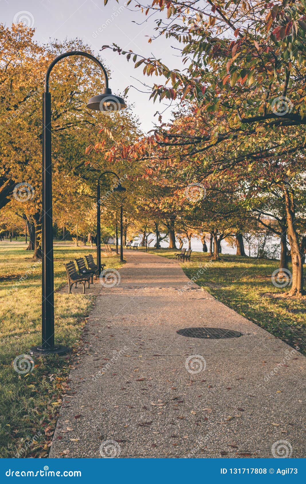 A Walk Path with Lamp Post with Fall Scenery Stock Photo - Image of ...