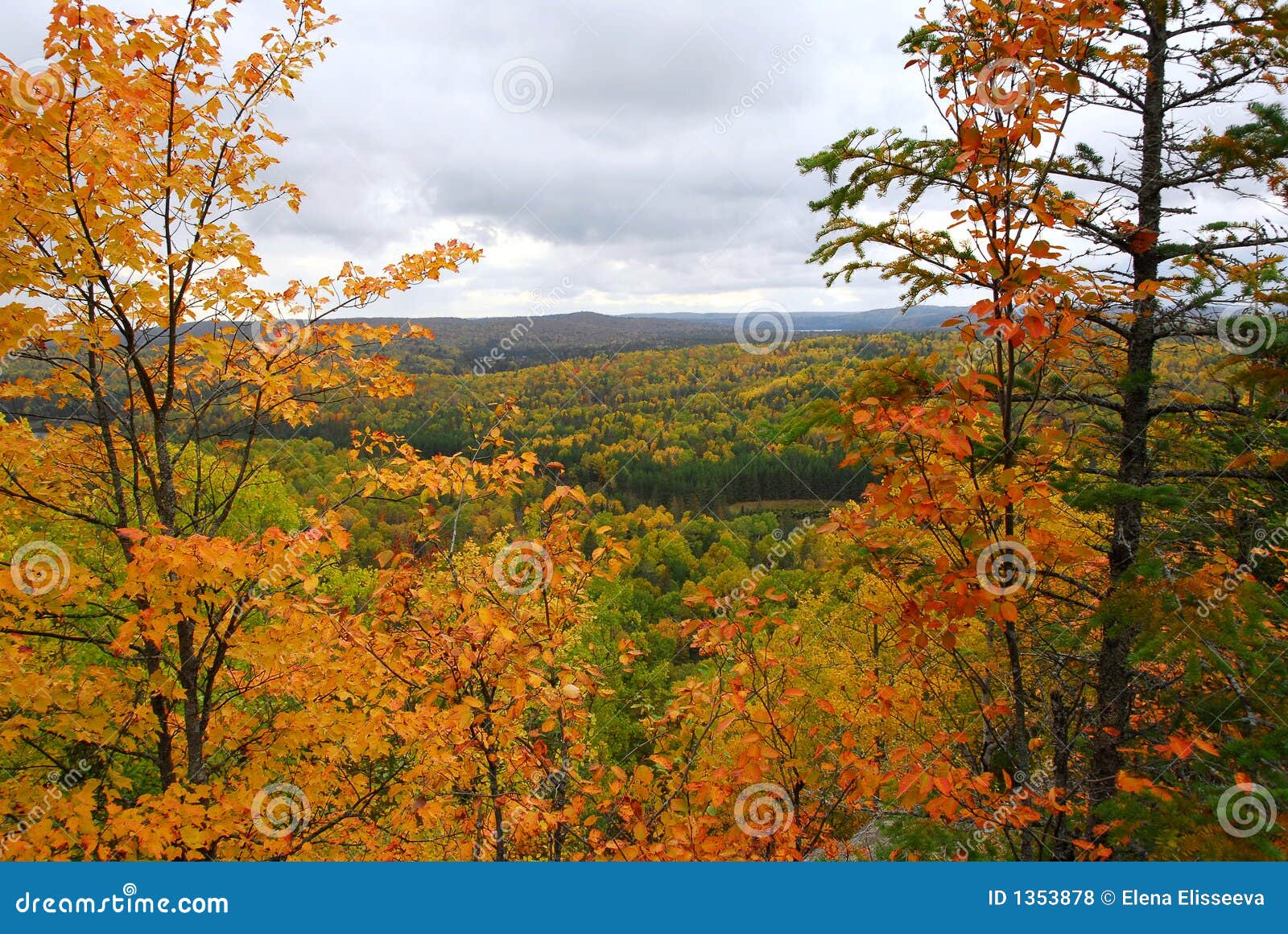Fall scenery stock photo. Image of forest, trees, autumn - 1353878