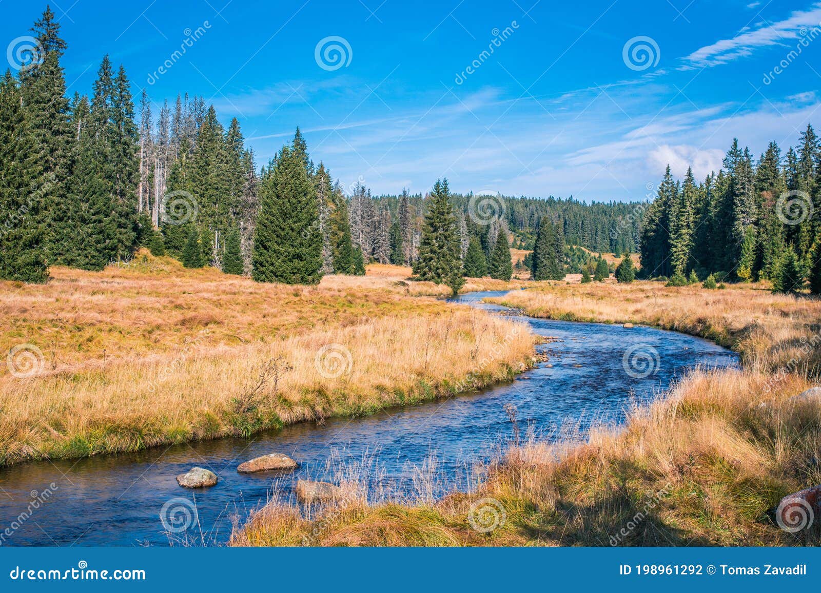 Fall Scenery of a River Winding through Meadows and Forests in the ...