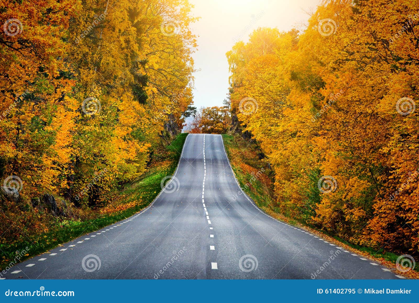 Fall scenic road in Sweden stock image. Image of urban - 61402795