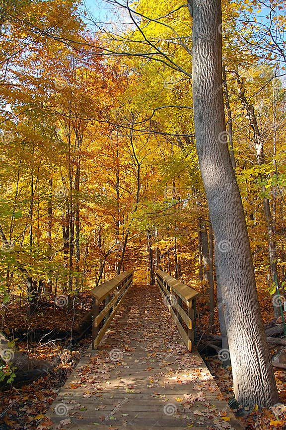 Fall Season Colors Trail stock photo. Image of season - 1272978