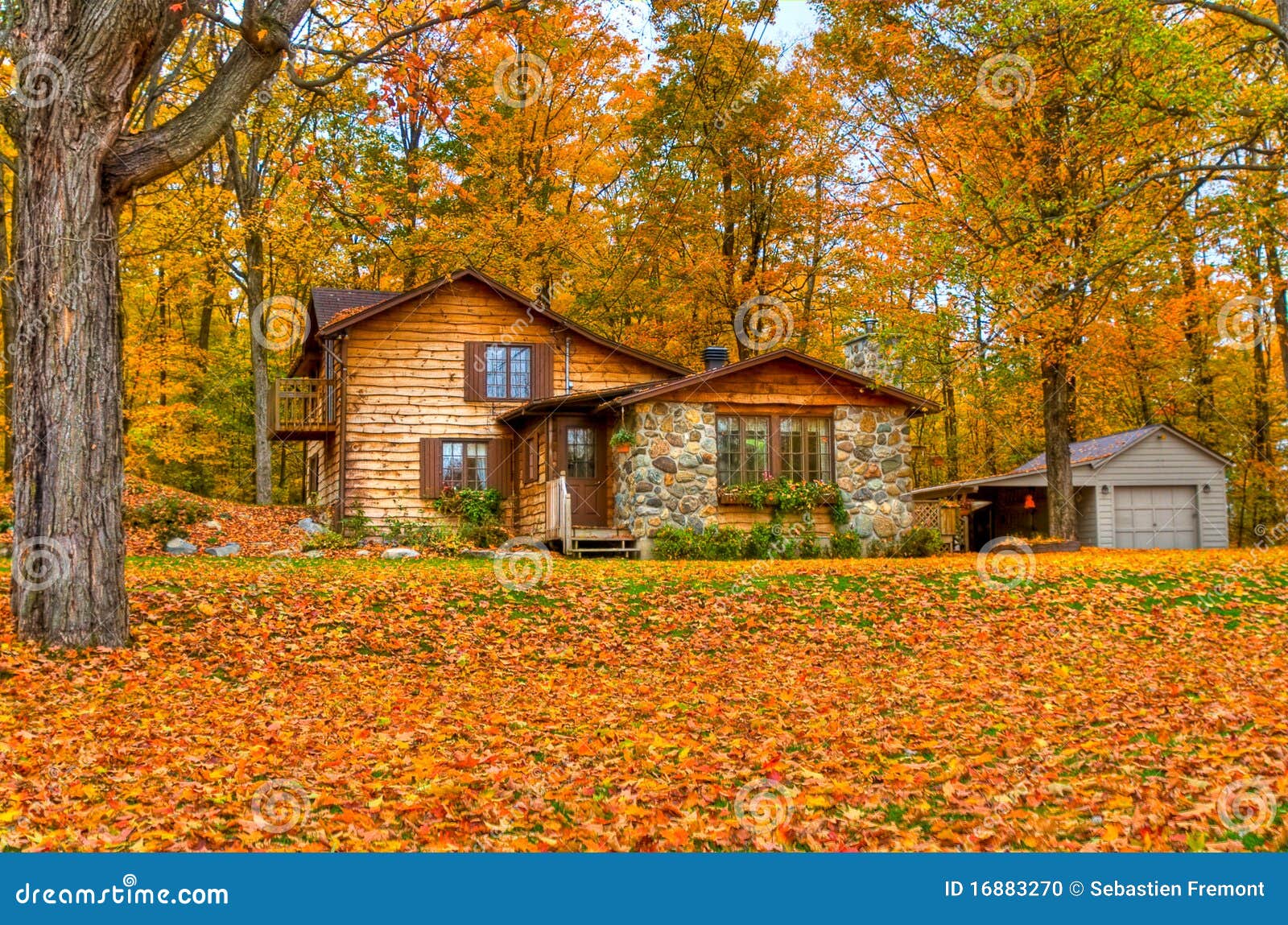 Fall season at the cottage stock photo. Image of nature - 16883270
