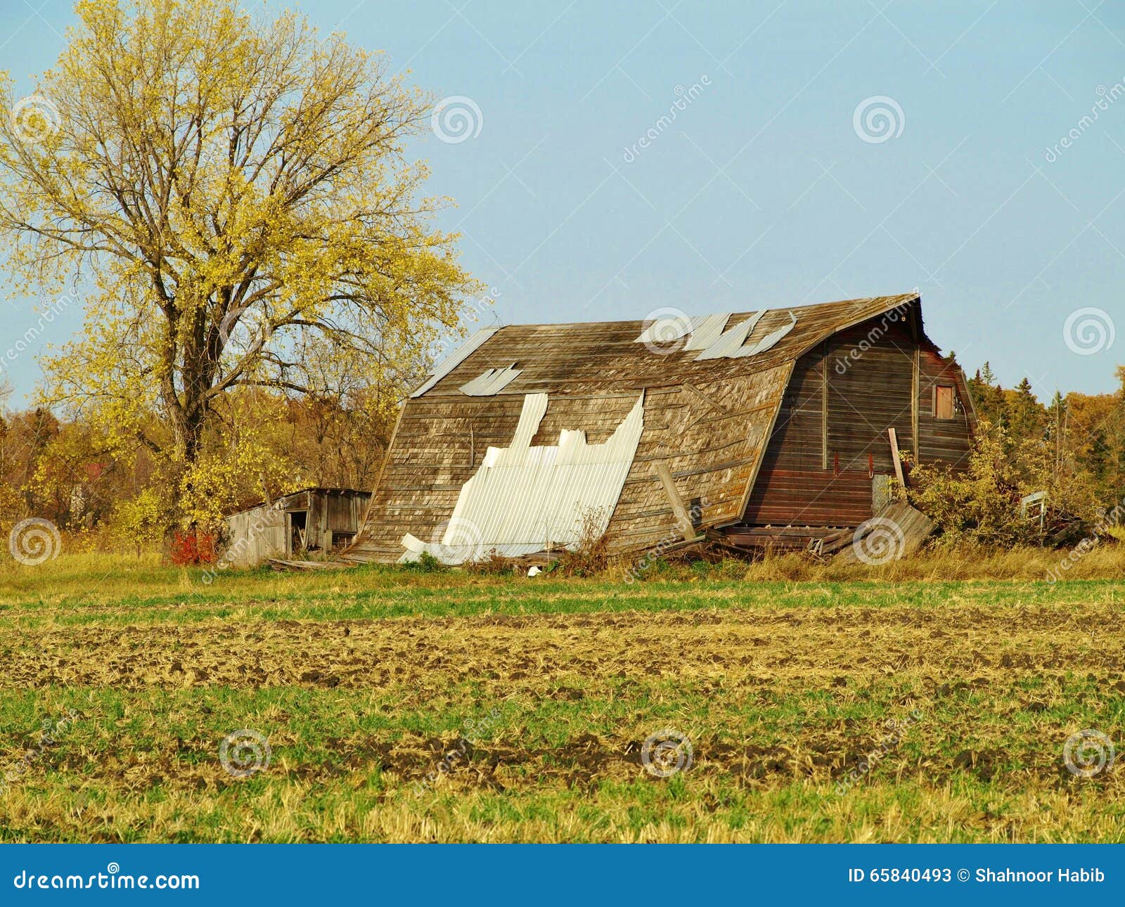 Fall season in Countryside stock image. Image of lake - 65840493