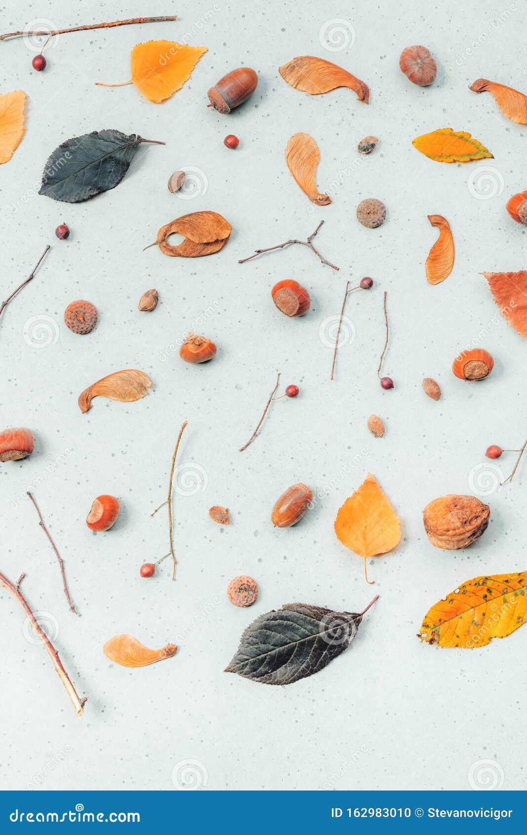 Fall Season Flat Lay Decoration Background Stock Photo - Image of ...
