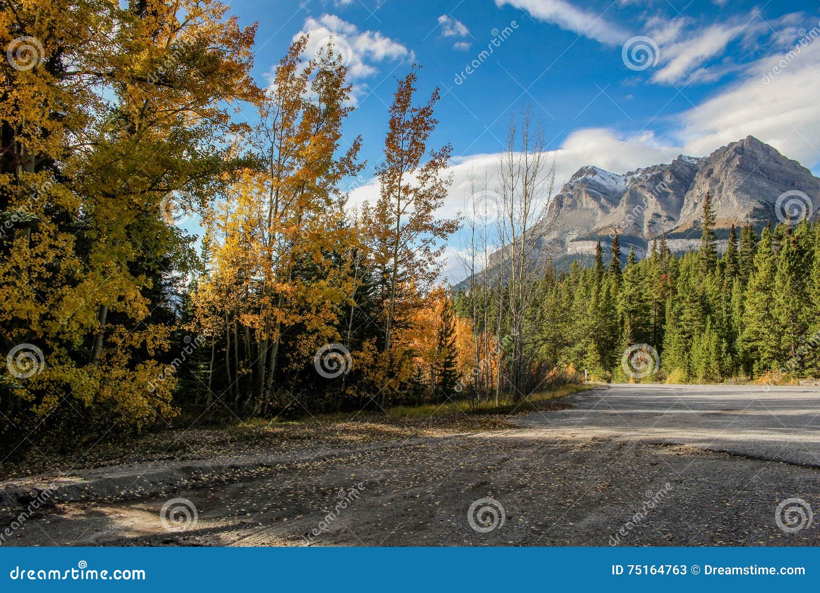 Fall Season in the Mountains of Alberta Canada Stock Image - Image of ...