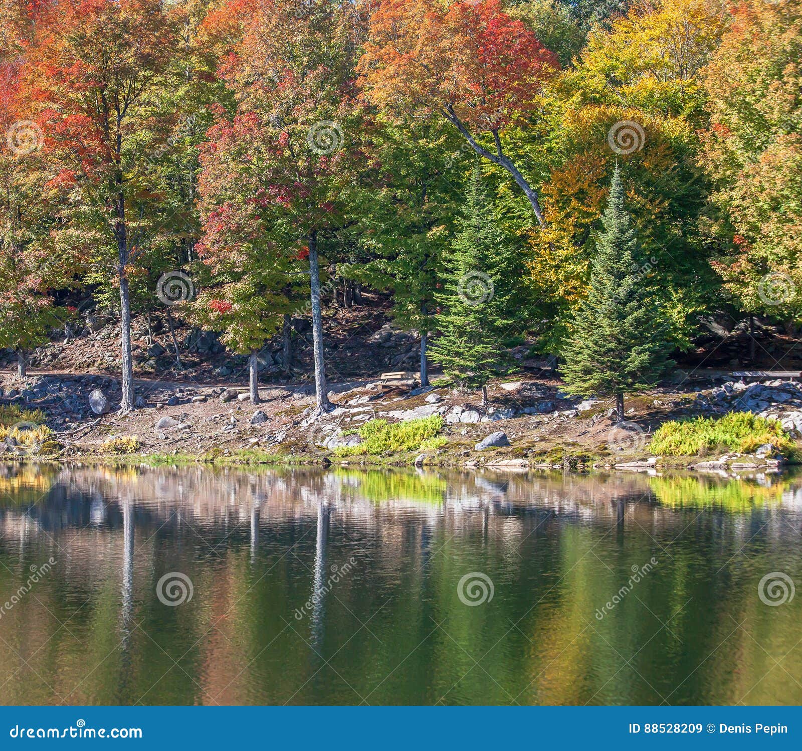 Fall Season in Quebec, Canada Stock Image - Image of beautiful, orange ...
