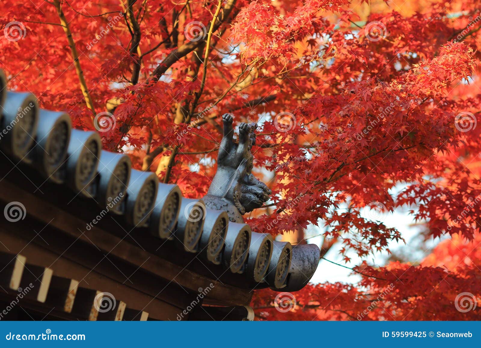 Fall Season in Tofukuji Temple Stock Image - Image of landscape ...