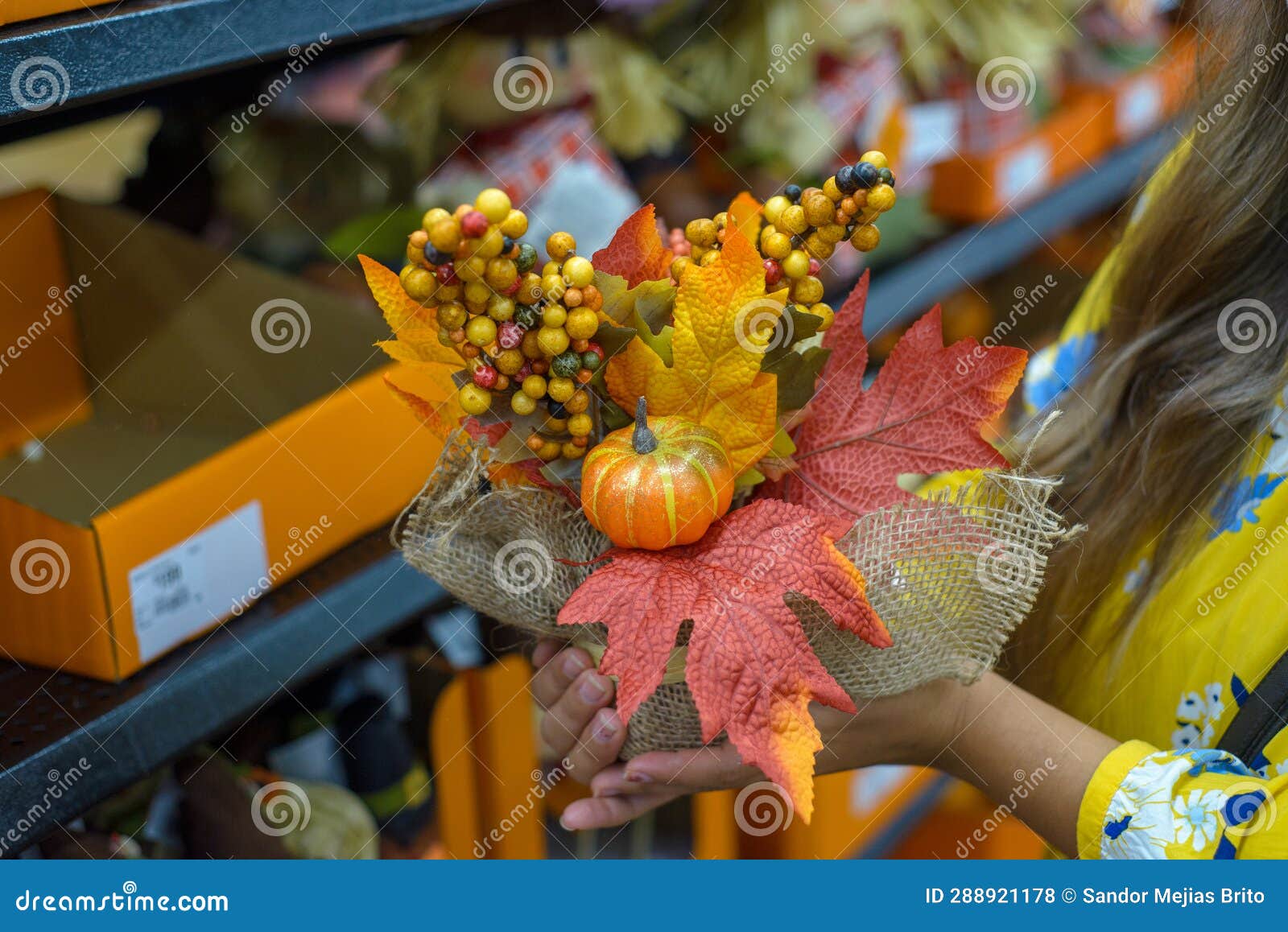 Fall Seasonal Decorative Objects. Stock Photo - Image of decorative ...