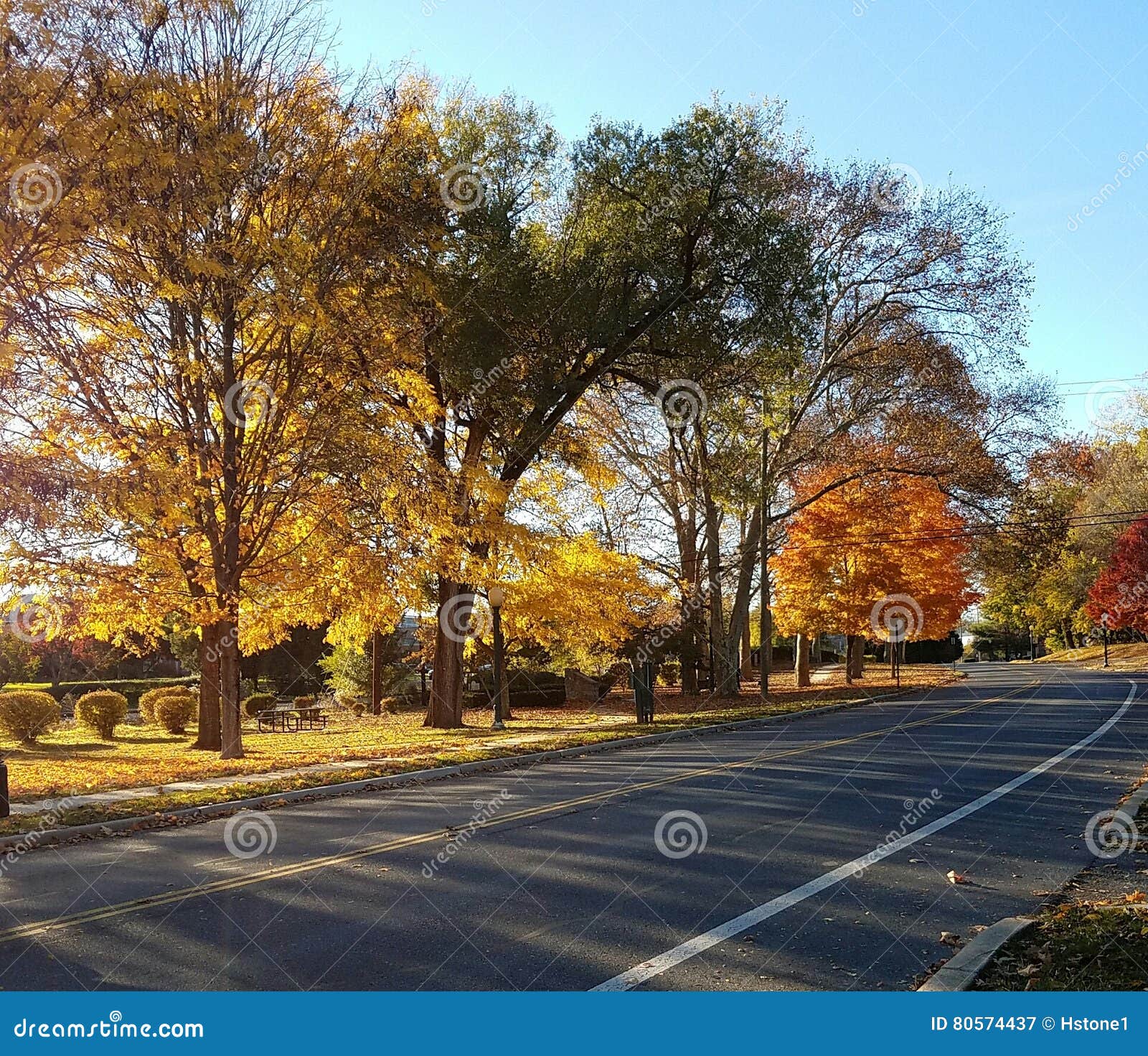 Fall shadows stock image. Image of beautiful, sunset - 80574437