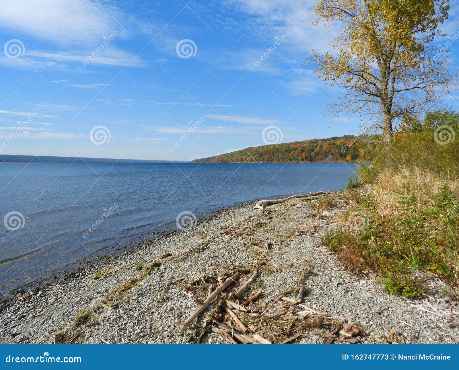 Fall Season Shoreline on Cayuga Lake Stock Image - Image of calm, fall ...