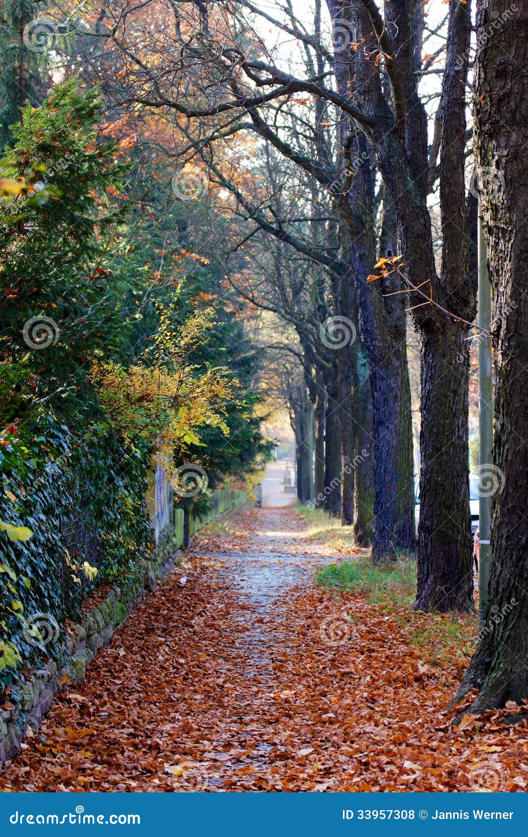 Fall Sidewalk in Berlin stock photo. Image of nature - 33957308