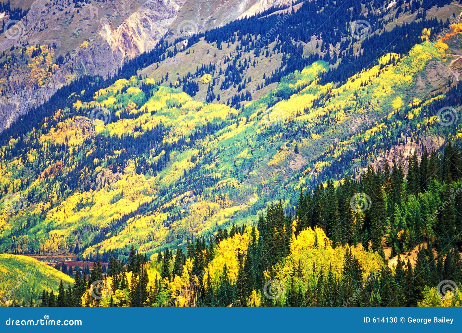 Fall at Silverton, Colorado Stock Photo - Image of aspen, cottonwood ...