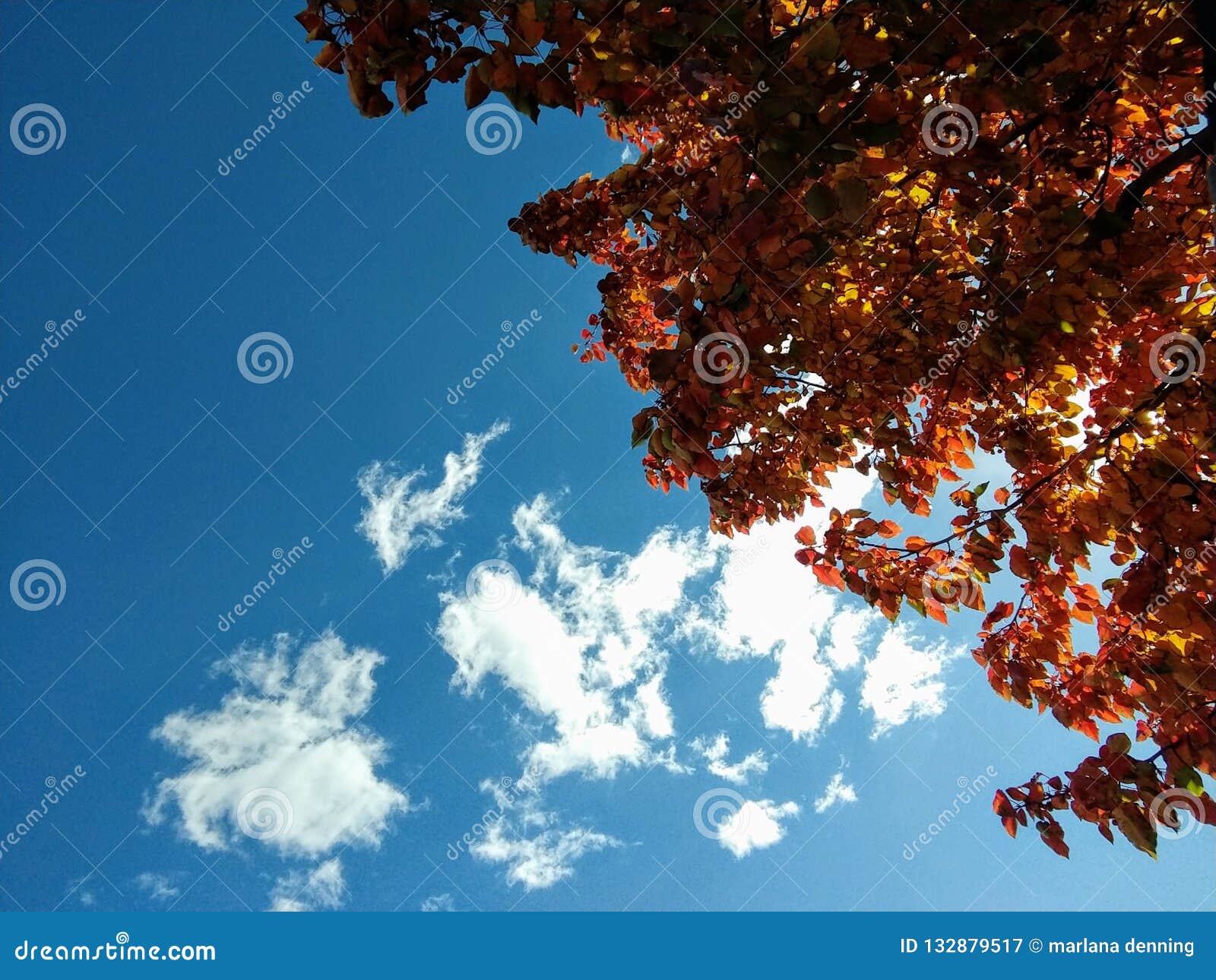 Fall skies stock image. Image of beautiful, skies, fall - 132879517