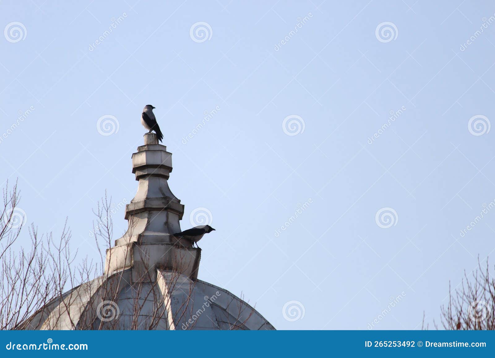 Fall of Sky in Tehran Street Stock Photo - Image of birds, tehran ...