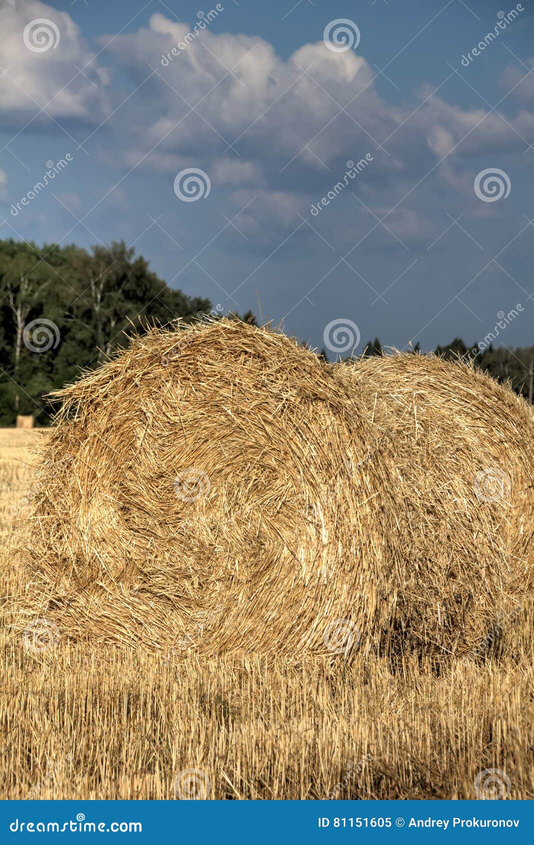 Fall. Slanted field. stock image. Image of dawn, cloud - 81151605