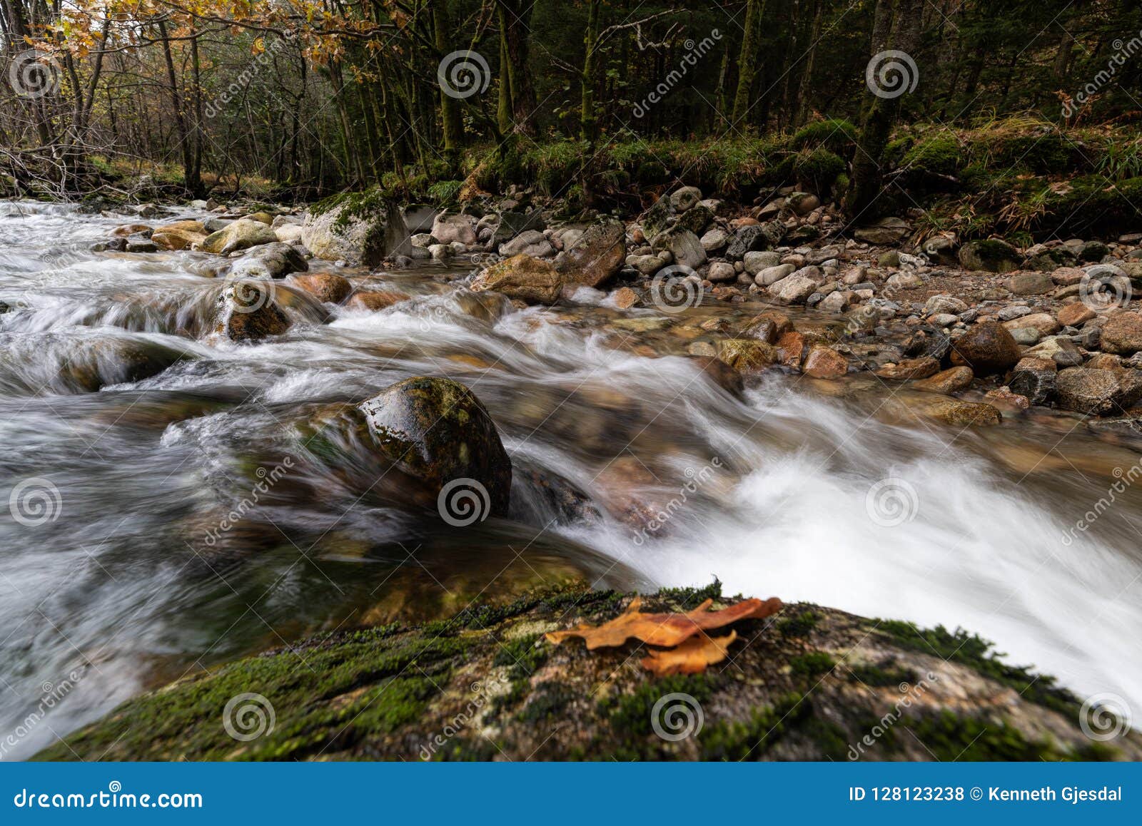 Fall stock photo. Image of landscape, outdoor, running - 128123238