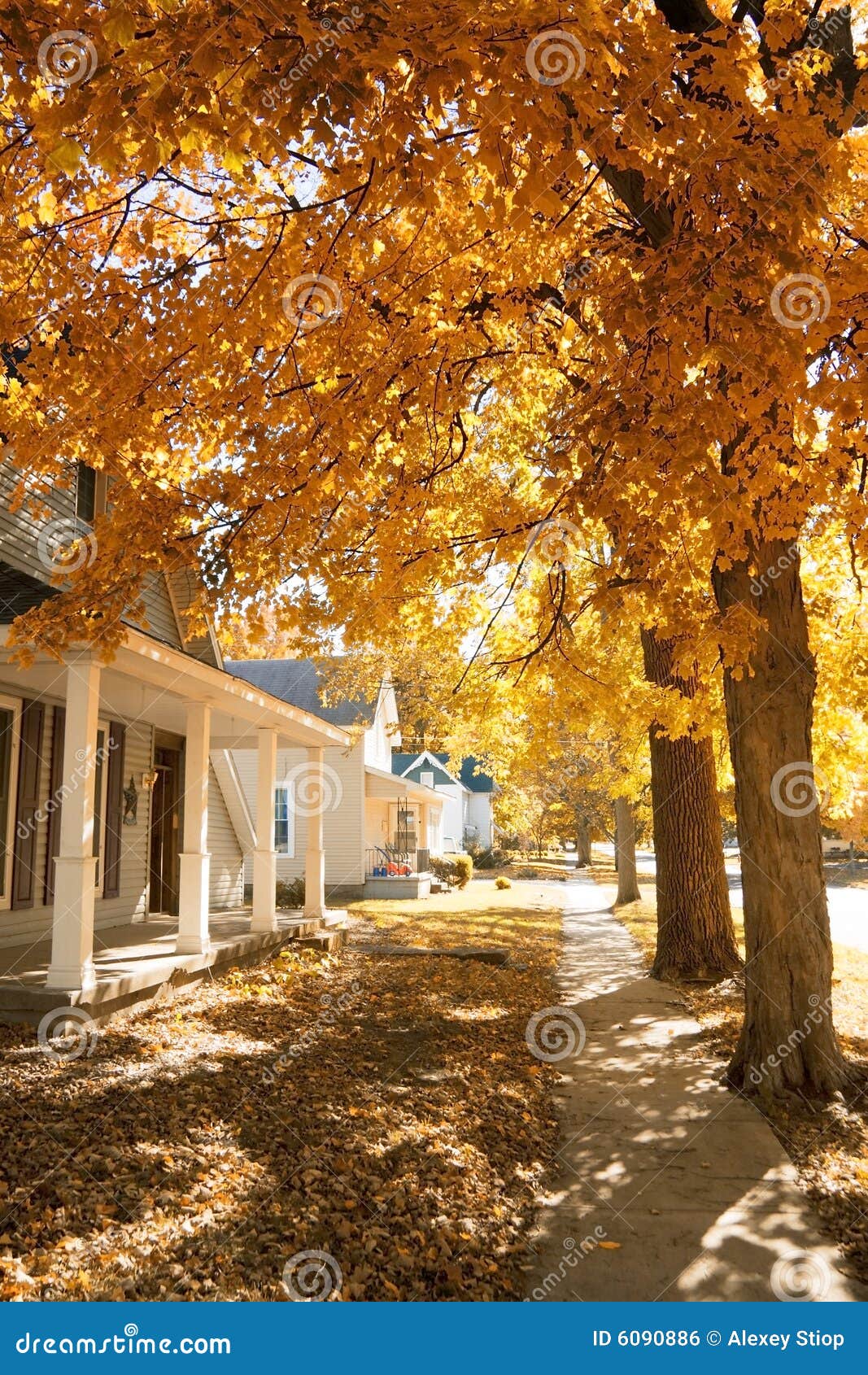 Fall in small town stock photo. Image of green, buildings - 6090886