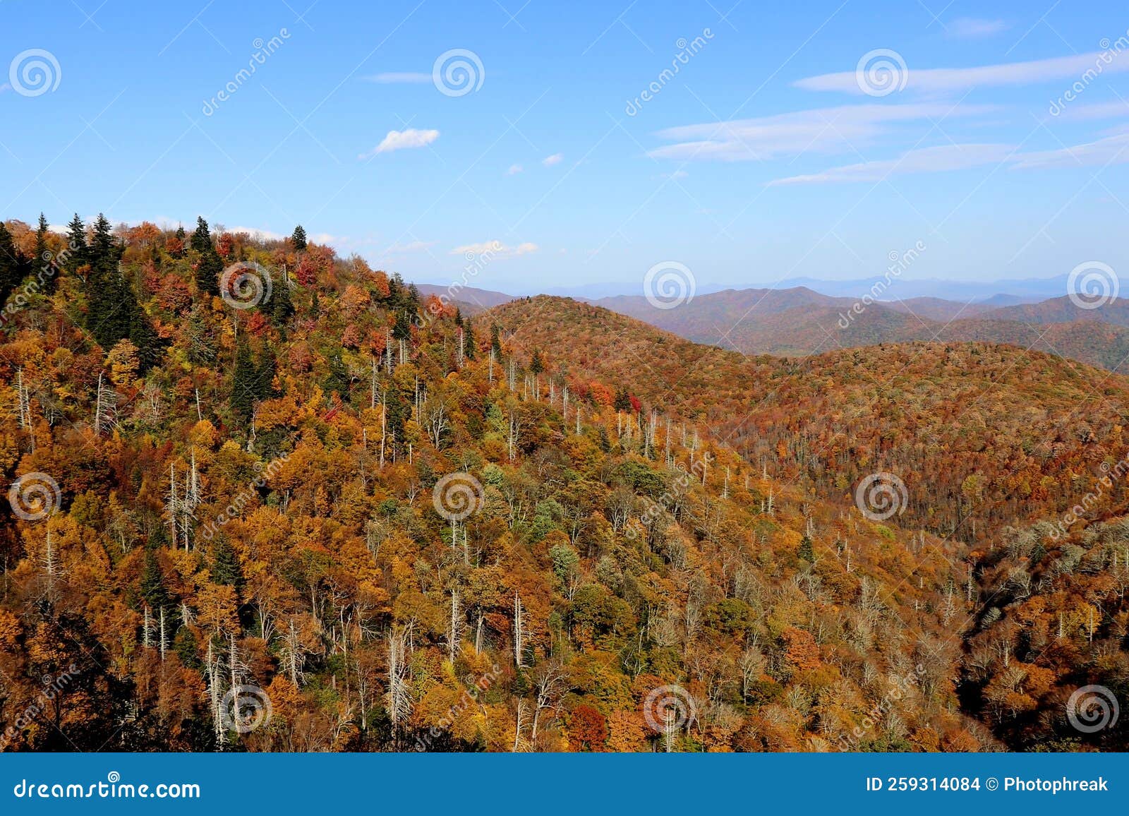 Fall in the Smokey Mountains in Fall Stock Photo - Image of autumn ...