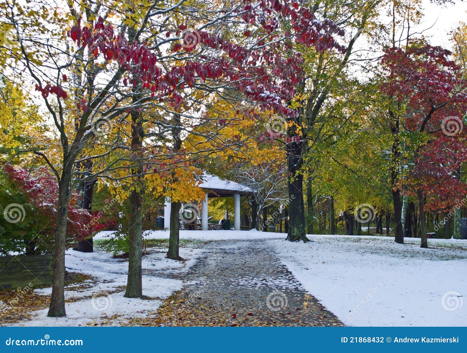Fall Snow in Park stock photo. Image of weather, snowflakes - 21868432