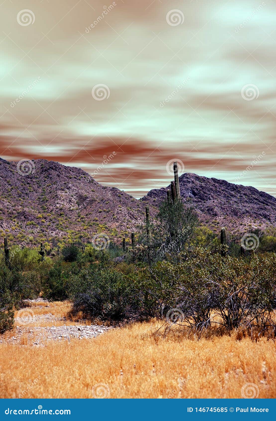 Fall in the Sonora Desert Mountains Stock Image - Image of desolate ...