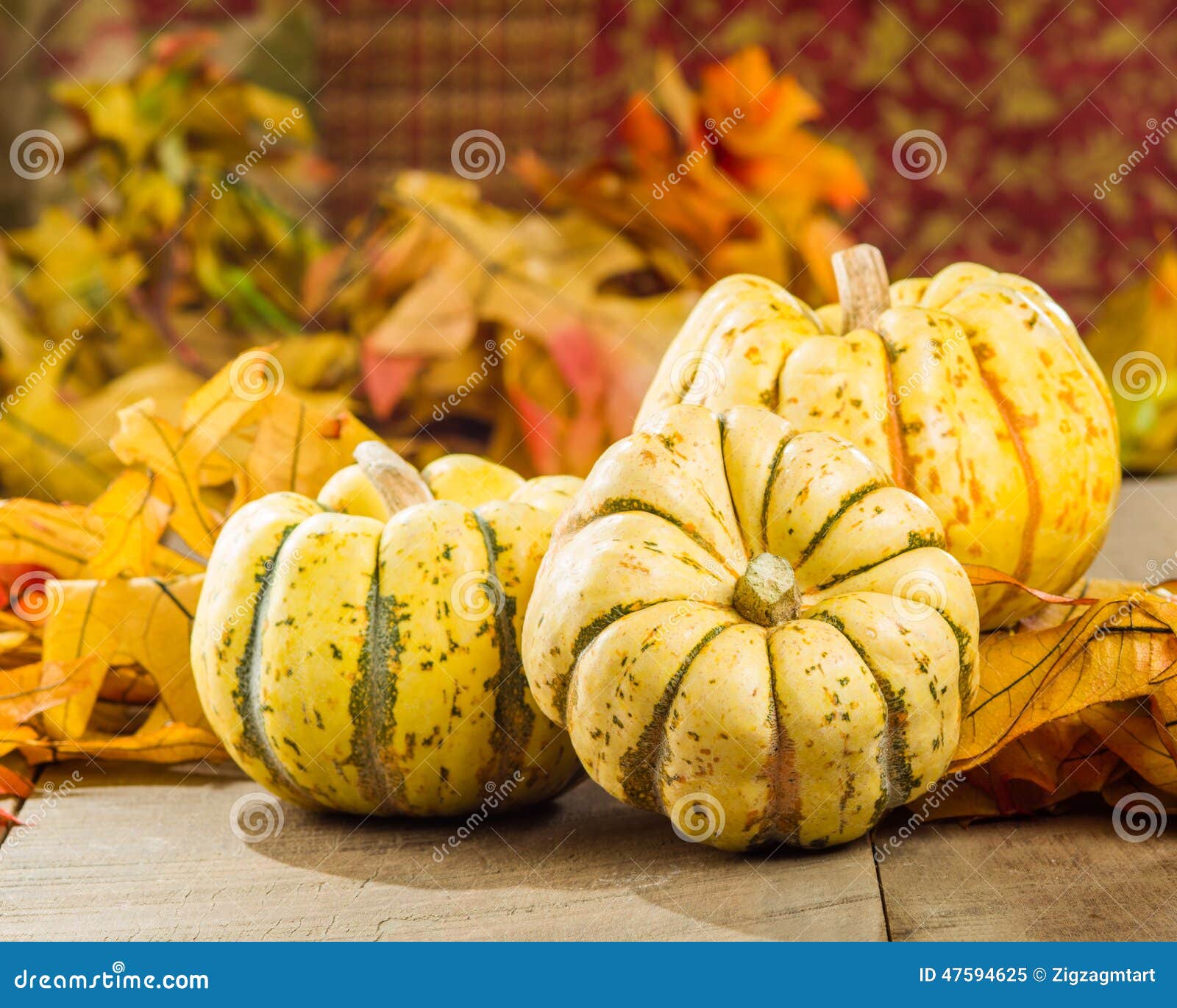 Fall Squash with Autumn Leaves Stock Image - Image of food, fresh: 47594625