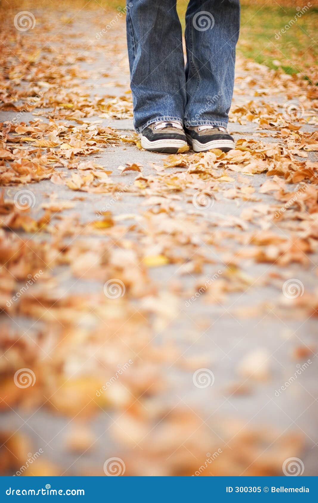 Fall stand stock image. Image of people, young, cheerfulness - 300305