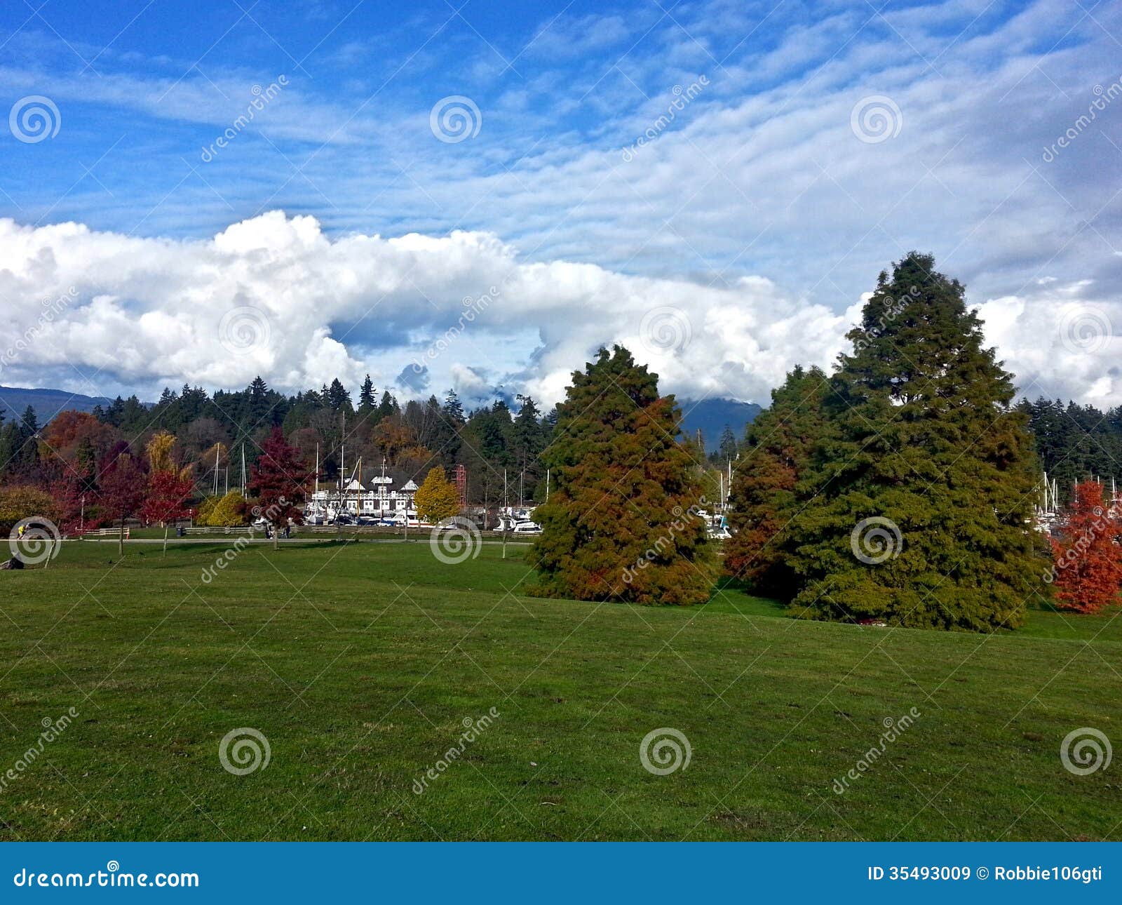 Fall in stanley park stock image. Image of redtrees, nature - 35493009
