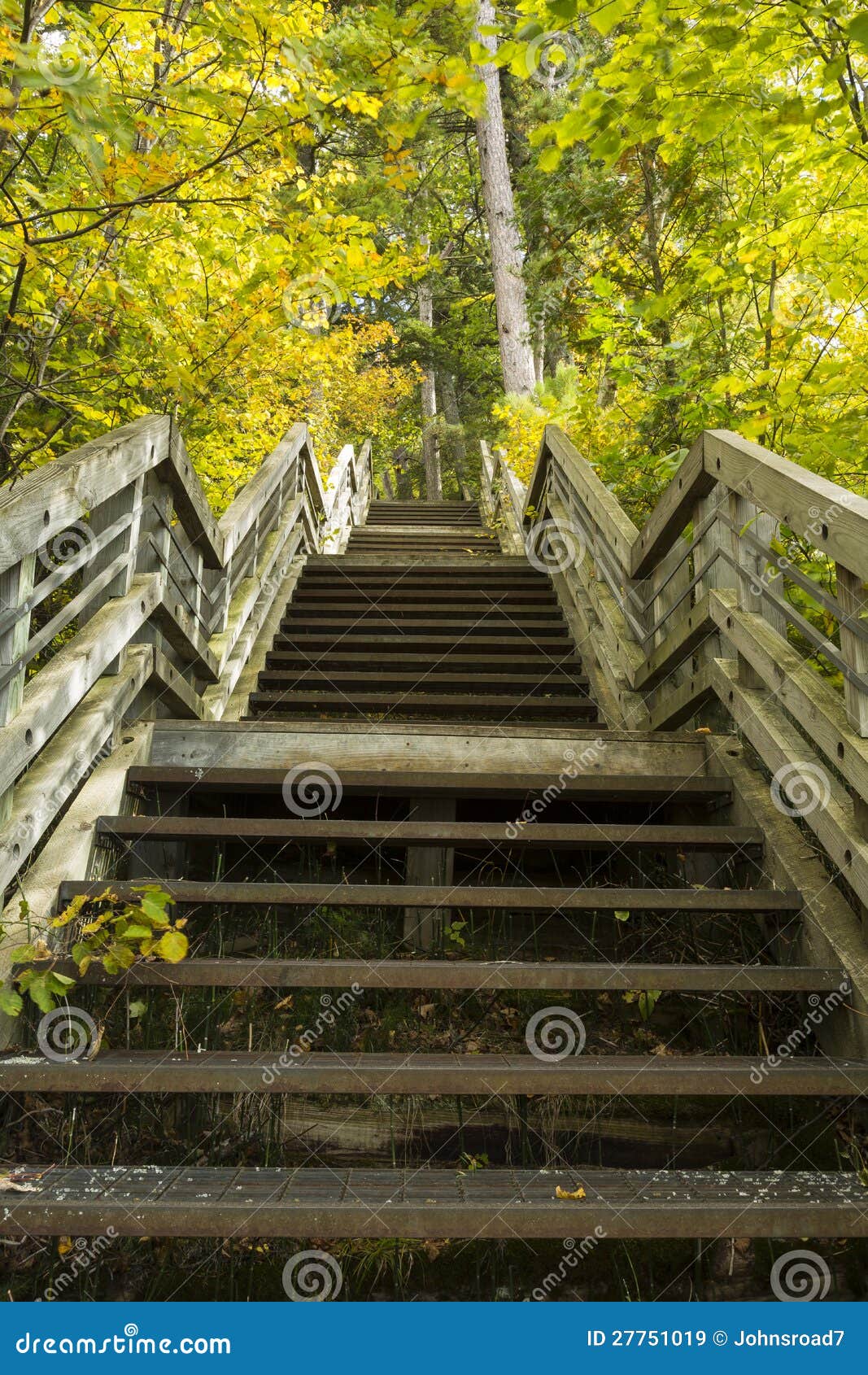 Fall Step Trail stock image. Image of foliage, forest - 27751019
