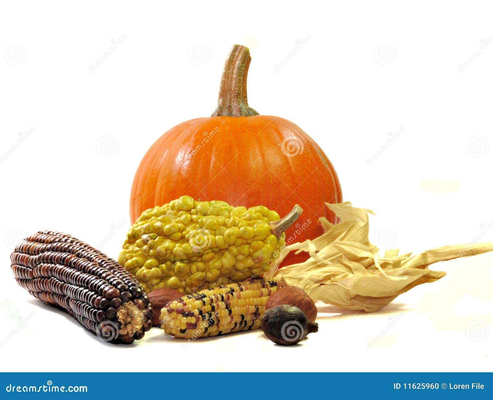 Fall Still Life stock photo. Image of fall, thanksgiving - 11625960