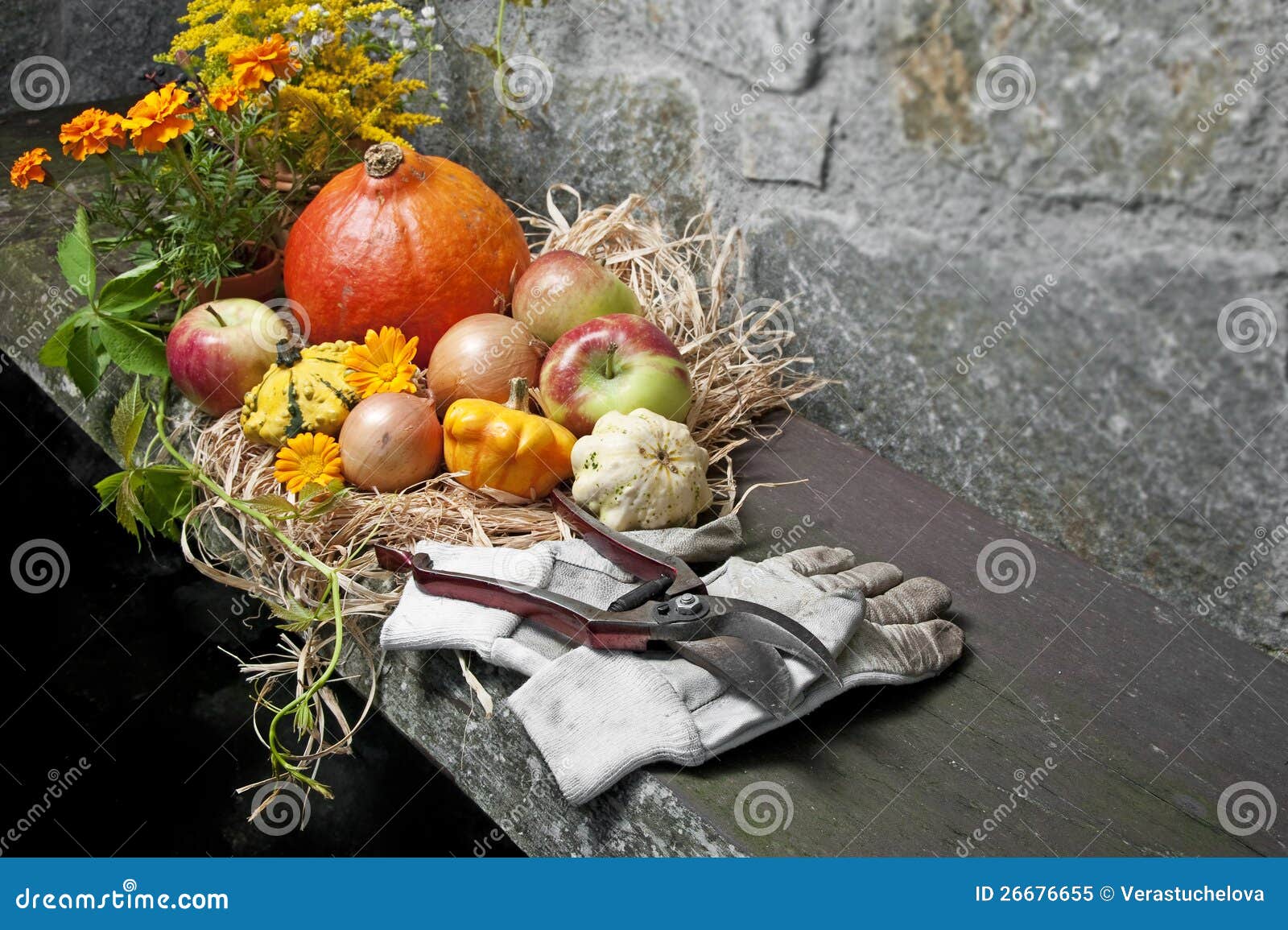 Fall still life stock image. Image of decorate, fall - 26676655