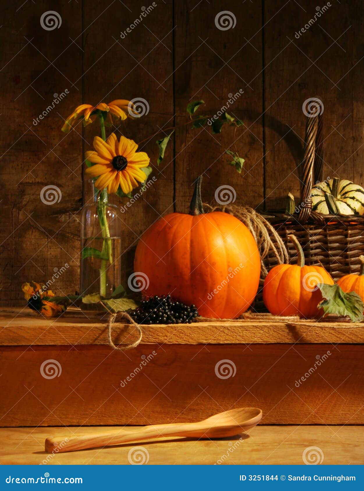 Fall still life stock photo. Image of orange, colors, harvest - 3251844