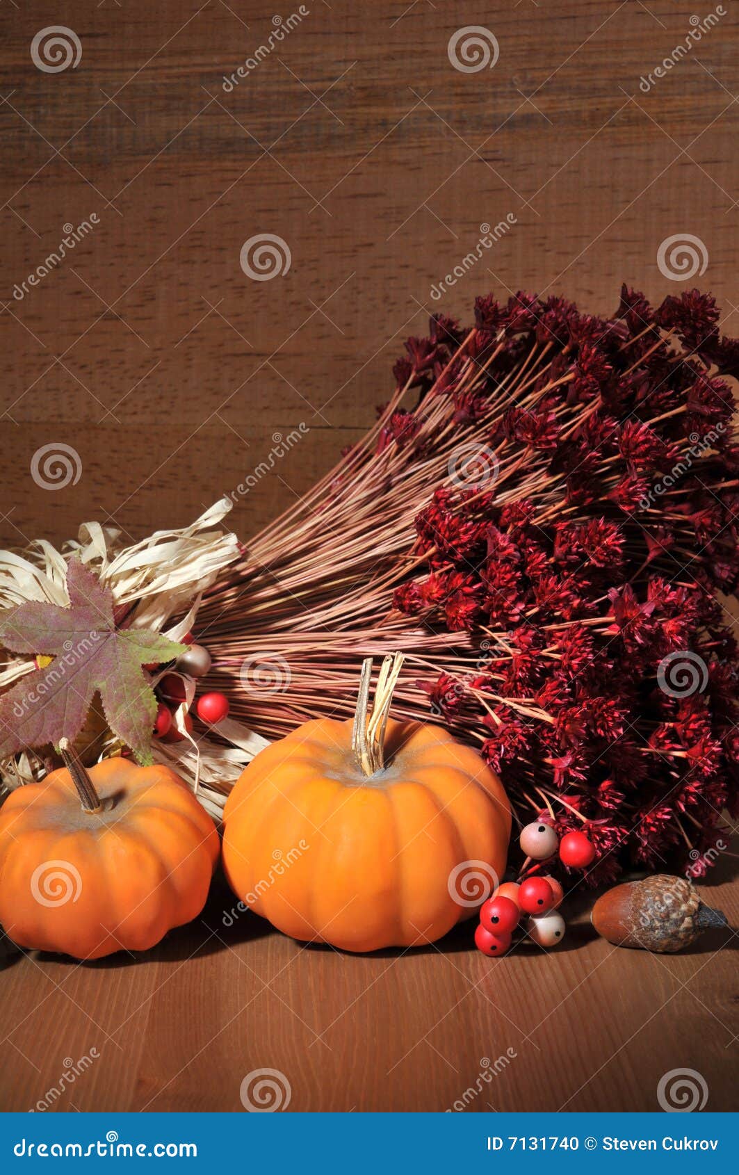 Fall Still Life stock photo. Image of life, brown, reap - 7131740
