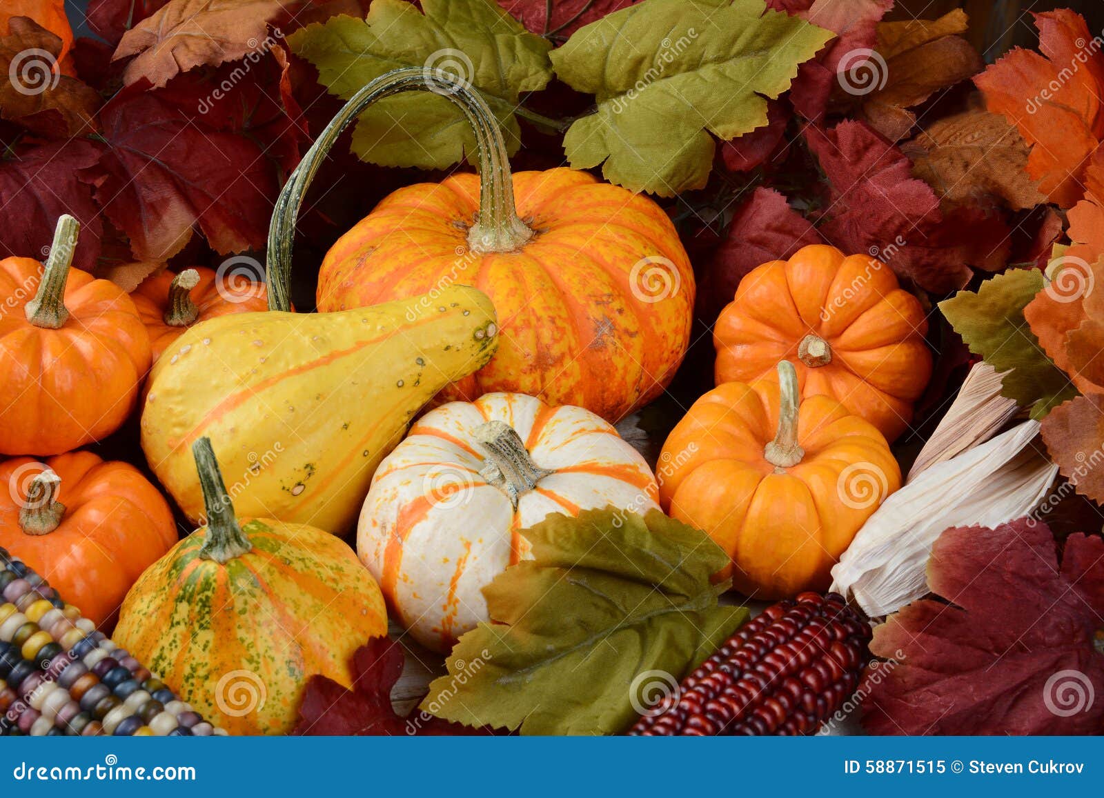 Fall Still Life Display stock image. Image of autumn - 58871515