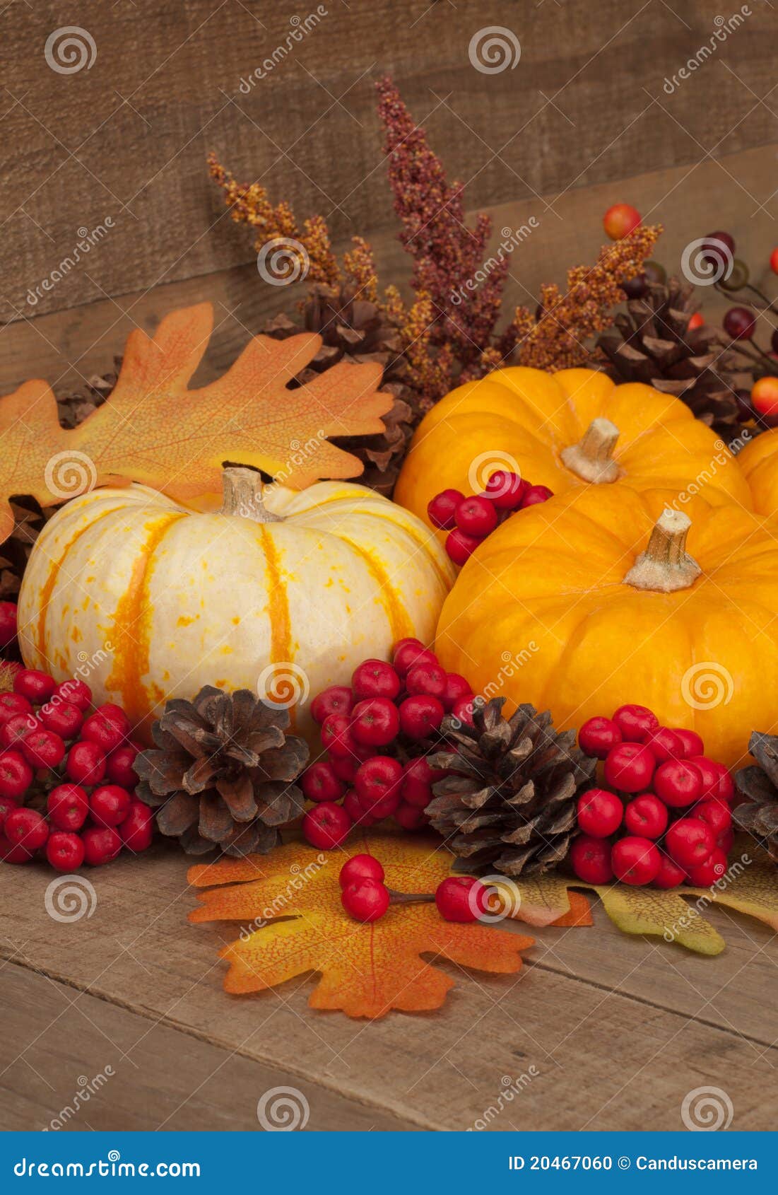 Fall Still Life Photo. Rustic Textured Vase With Dry Hydrangea Flowers ...