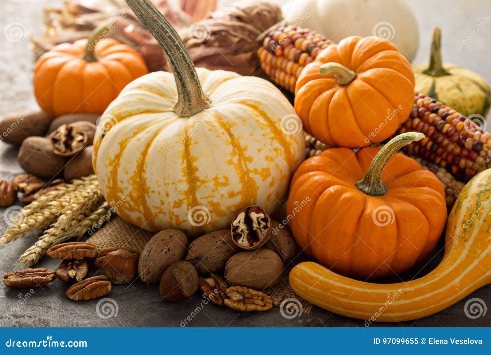 Fall Still Life with Pumpkins and Corn Stock Image - Image of life ...