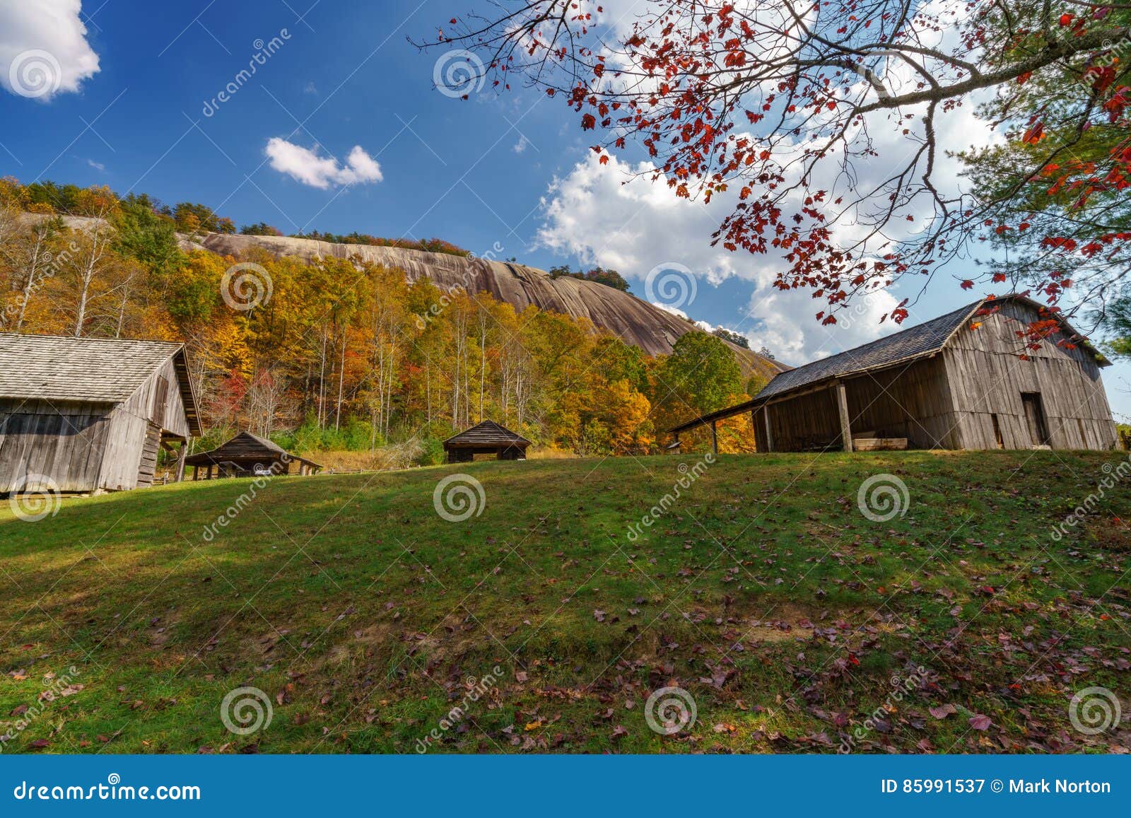 Fall at Stone Mountain stock image. Image of nature, leaves - 85991537