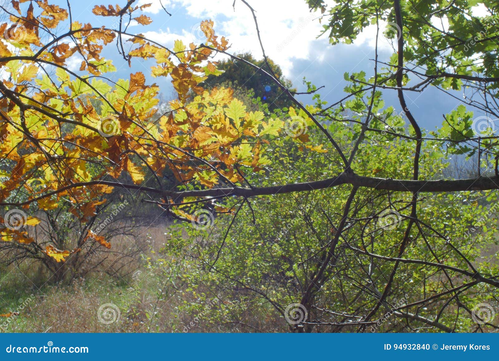 Fall Storm stock photo. Image of hiking, afternoon, colors - 94932840