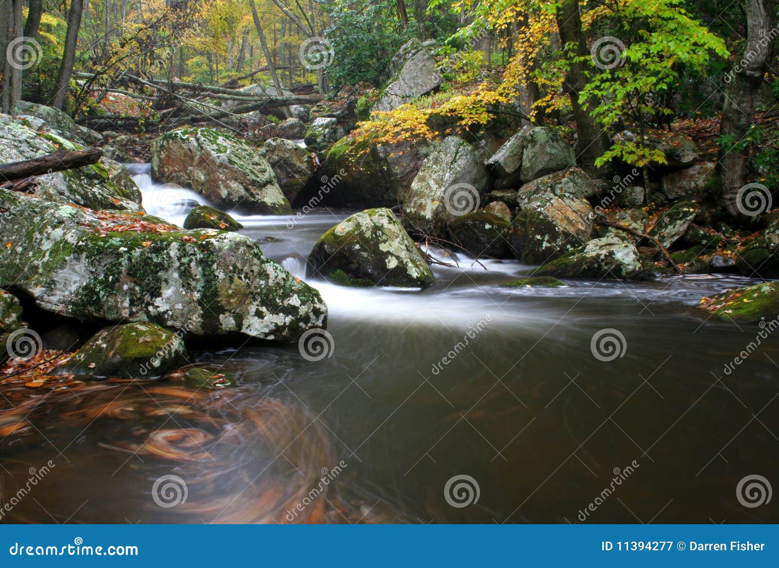 Fall Stream stock image. Image of forest, clear, leaves - 11394277