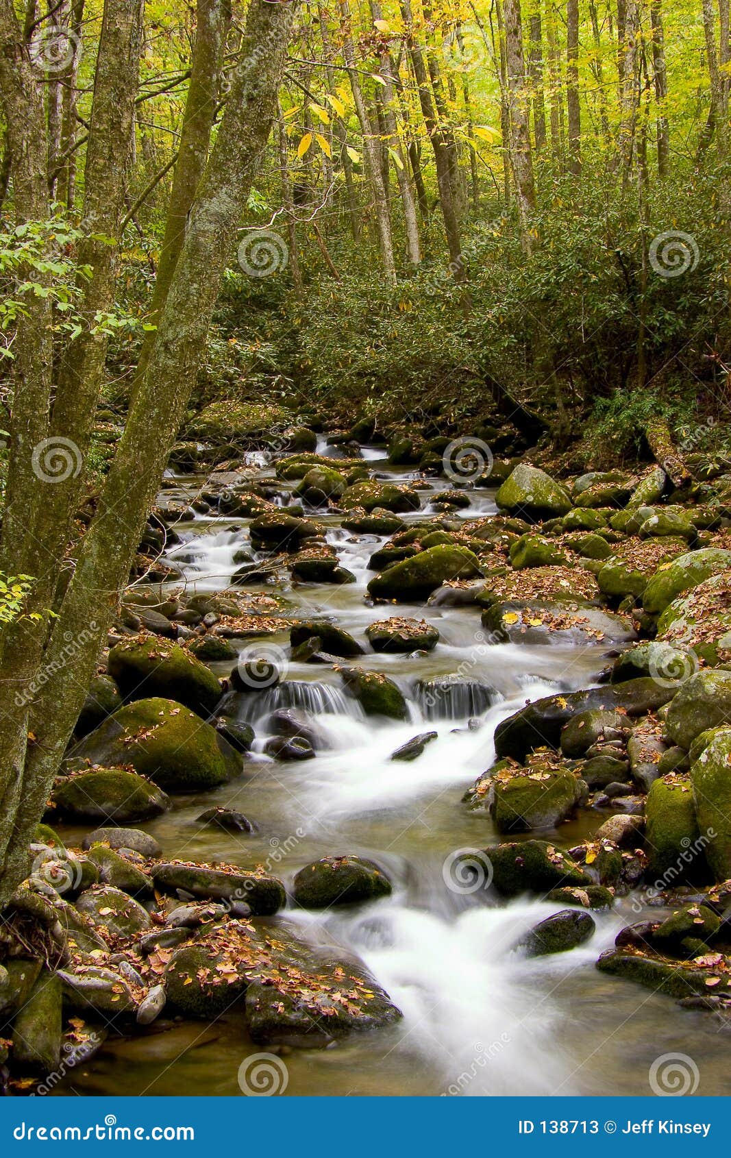 Fall Stream stock image. Image of mountains, fall, park - 138713