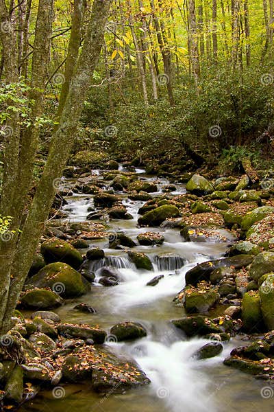 Fall Stream stock image. Image of mountains, fall, park - 138713