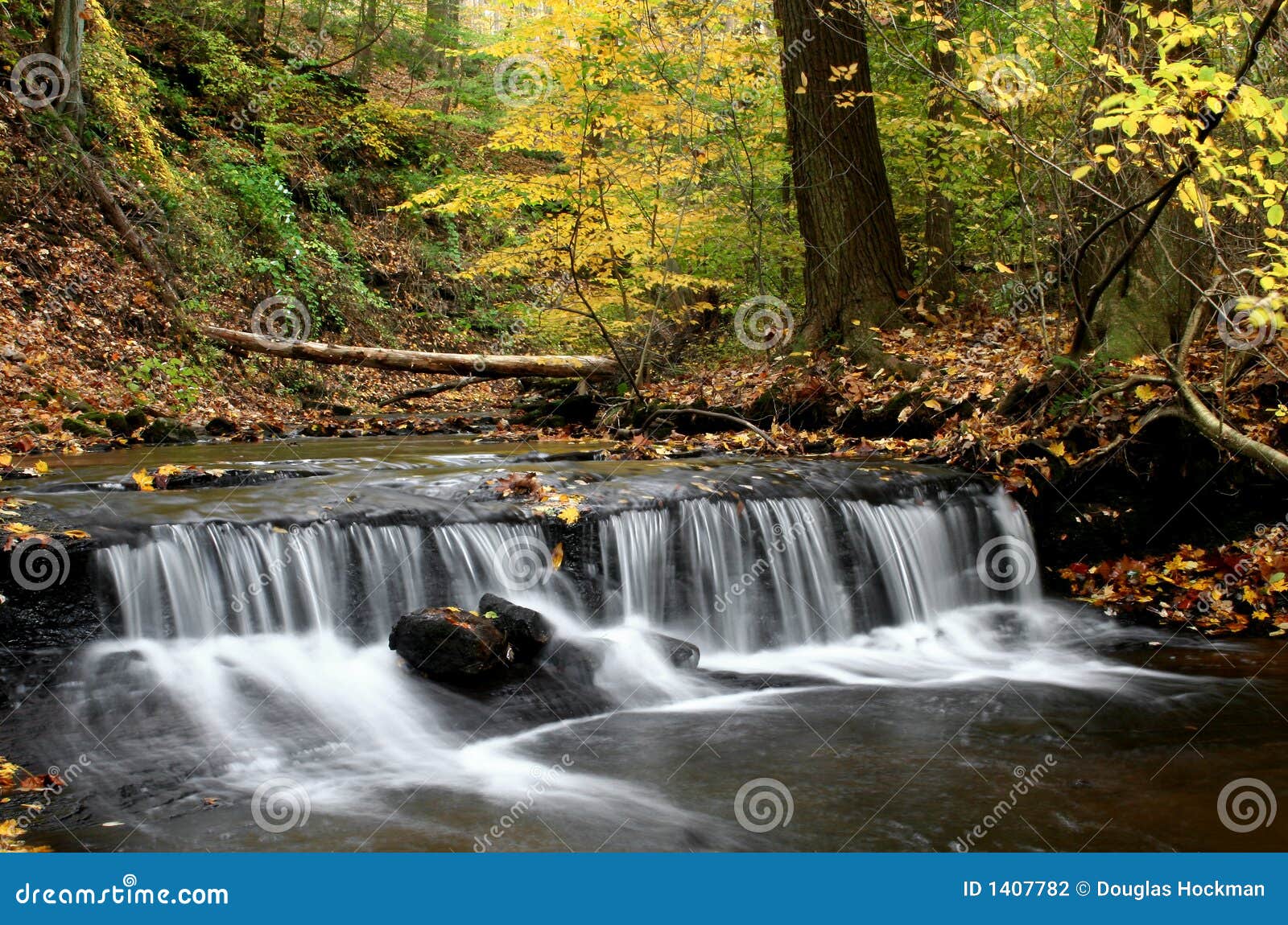 Fall Stream stock photo. Image of autumn, soft, creek - 1407782 Fall Stream stock photo. Image of autumn, soft, creek - 1407782