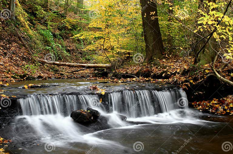 Fall Stream stock photo. Image of autumn, soft, creek - 1407782