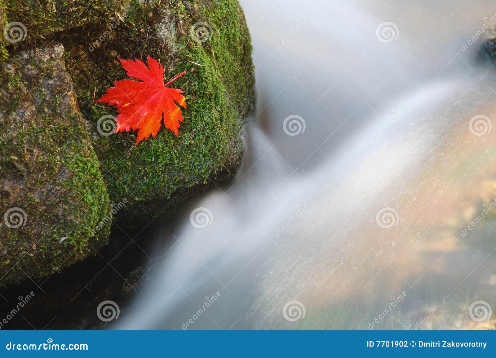 Fall stream 2 stock photo. Image of layered, canal, botany - 7701902