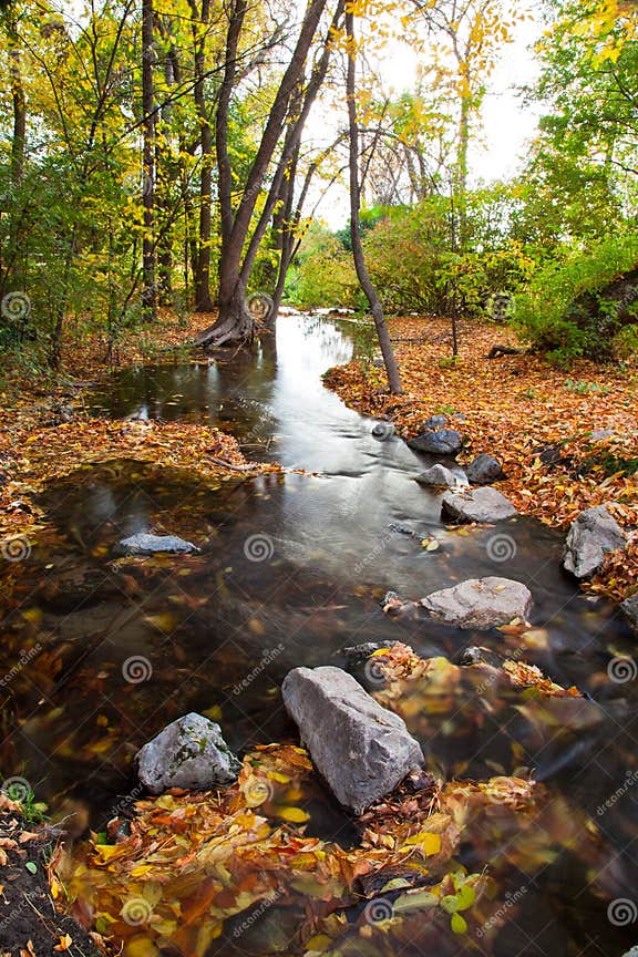 Fall Stream stock photo. Image of green, stream, water - 27899164
