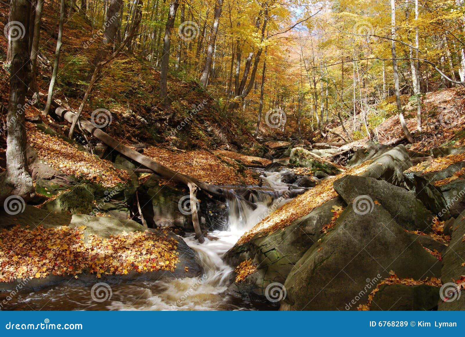 Fall Stream stock image. Image of clean, nature, escarpment - 6768289