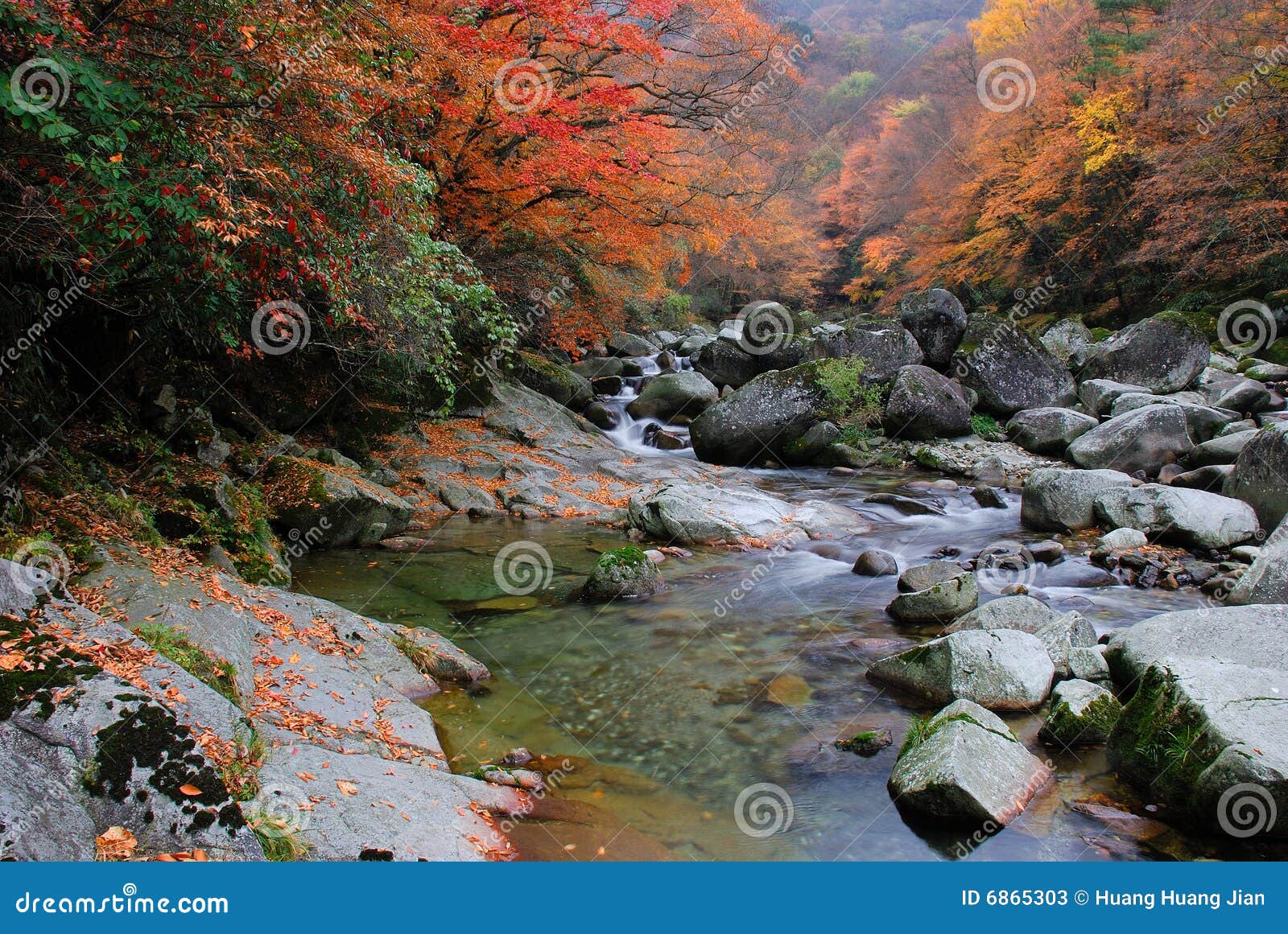 In the fall of the stream stock image. Image of moist - 6865303