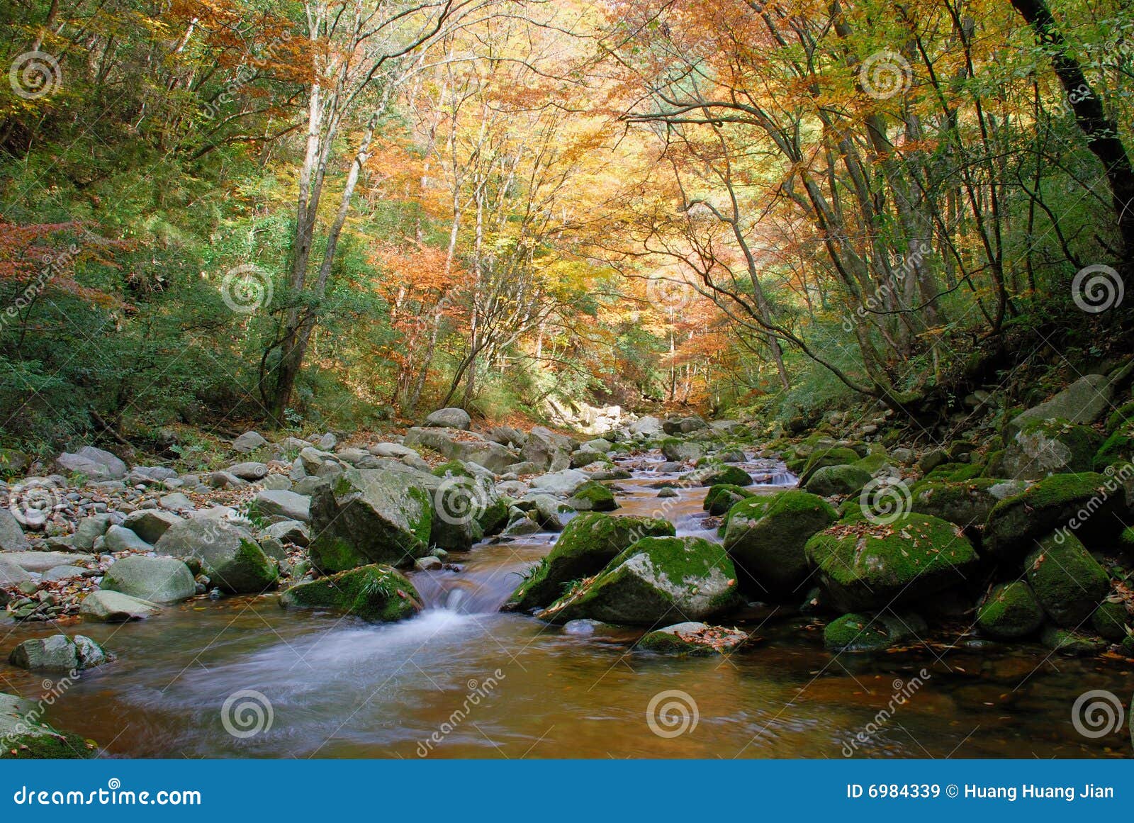 In the fall of the stream stock image. Image of forest - 6984339